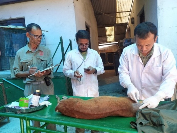 Animal Treatment – Central Zoo